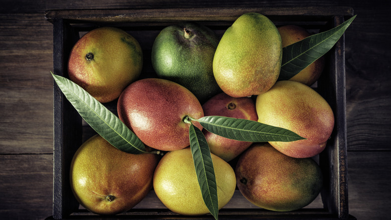 This country produces the most mangoes in the world by a landslide