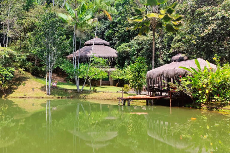 What it's really like to join an ayahuasca retreat alongside spiritual ...