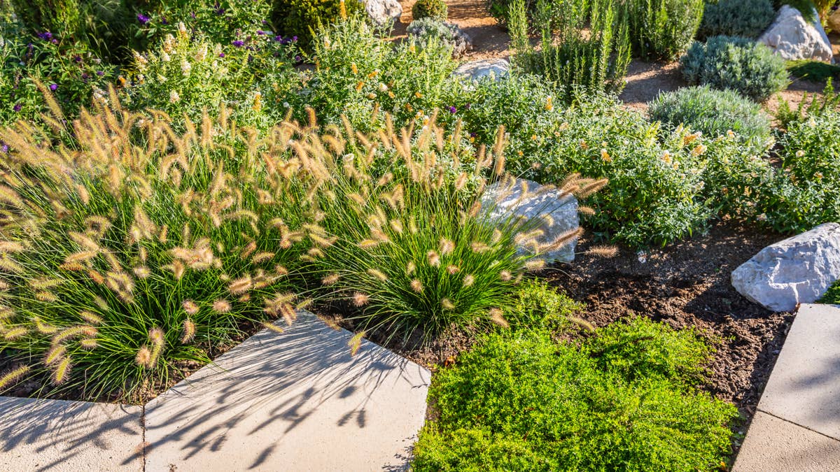 Low-maintenance landscaping: How to create an easy-to-manage yard
