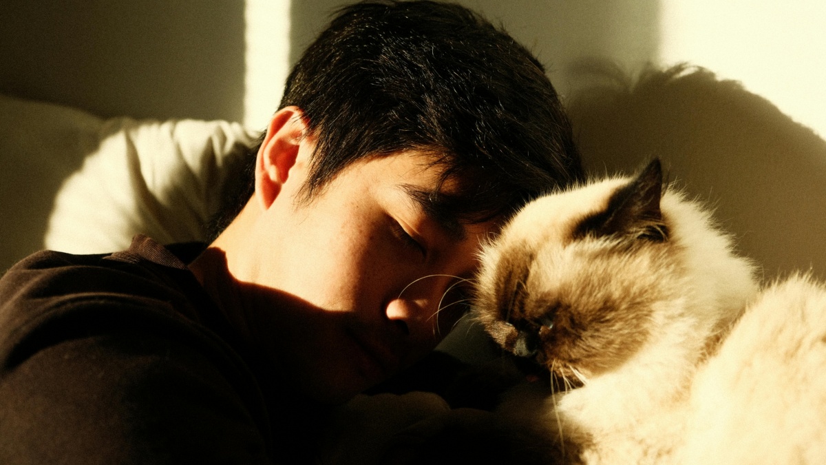 10 things cats only do with people they deeply love