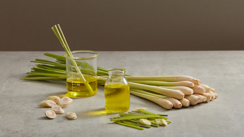 4 clever lemon-scented hacks that deter pests (& 3 that don't actually ...