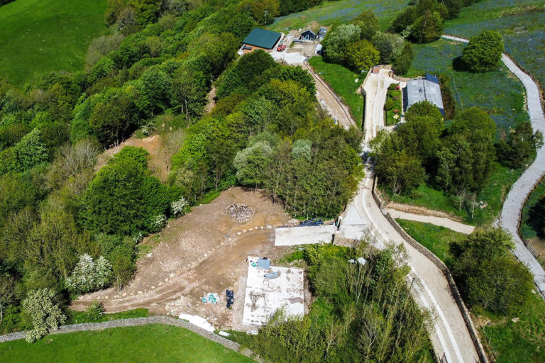 Firm accused of felling 300 trees and building holiday lodges in ...