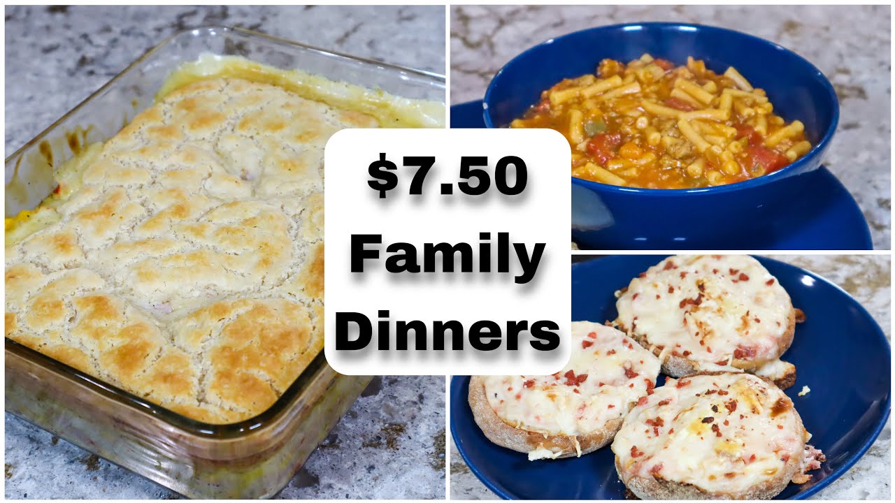 $7.50 budget family dinners for 4 | Dollar Tree dinners