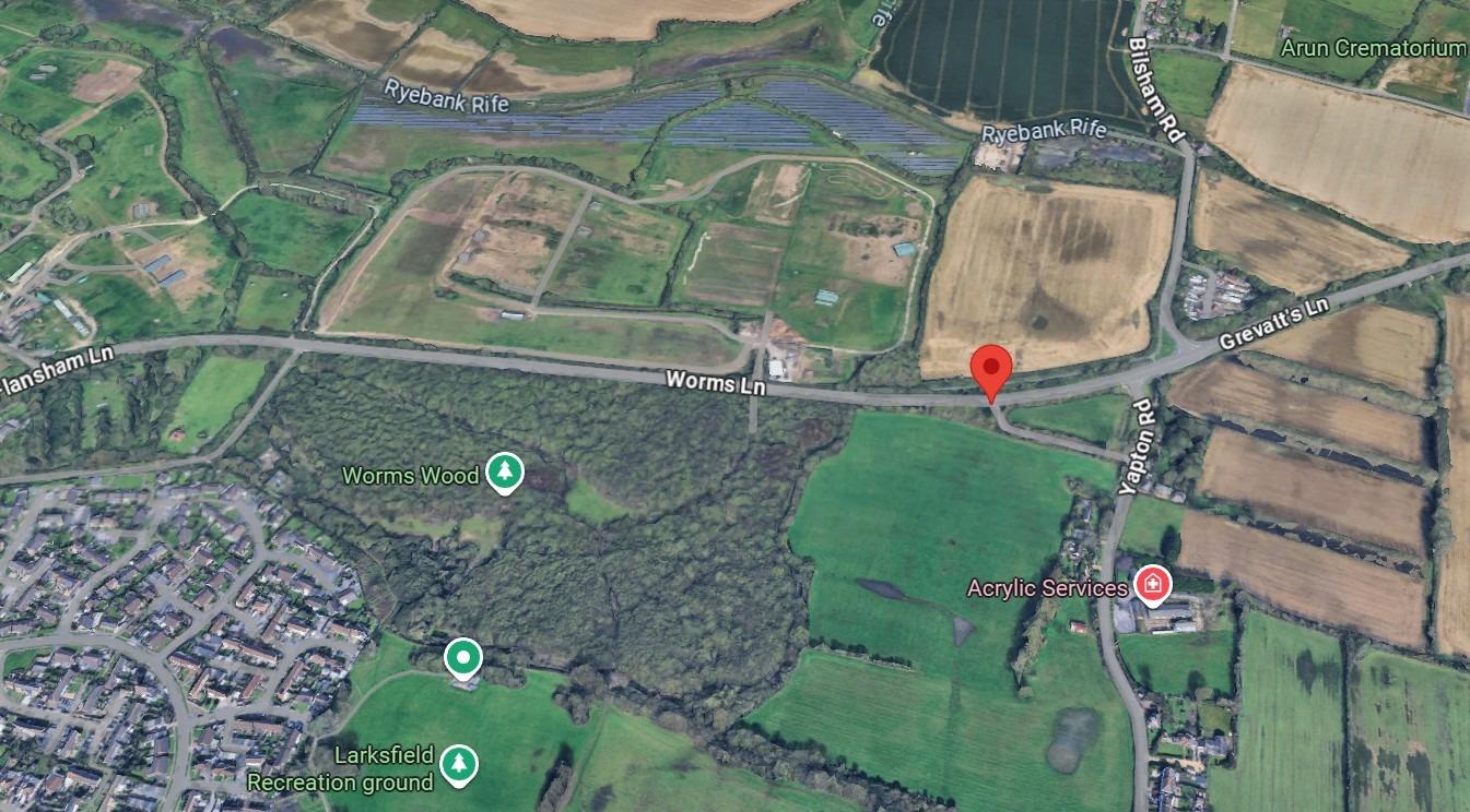 Fire service removes tree from road in Bognor Regis