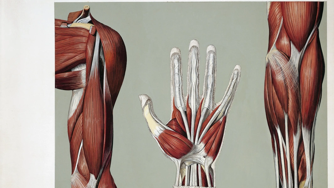 Muscle cramp fixes every active body needs