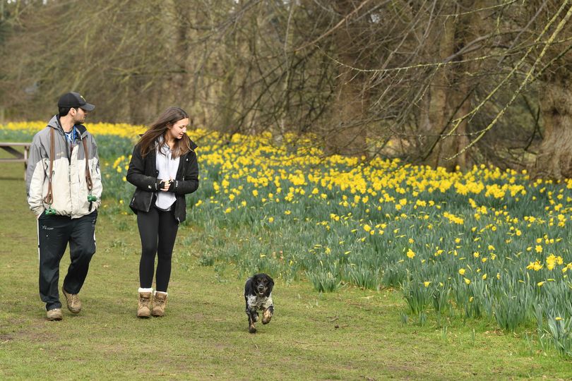 The beautiful country park with a maze, children’s play area and café