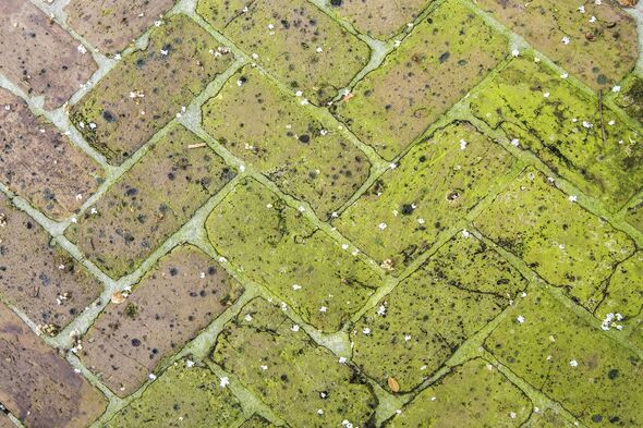 Green algae will brush clean from patios in 5 minutes with 2 ingredients