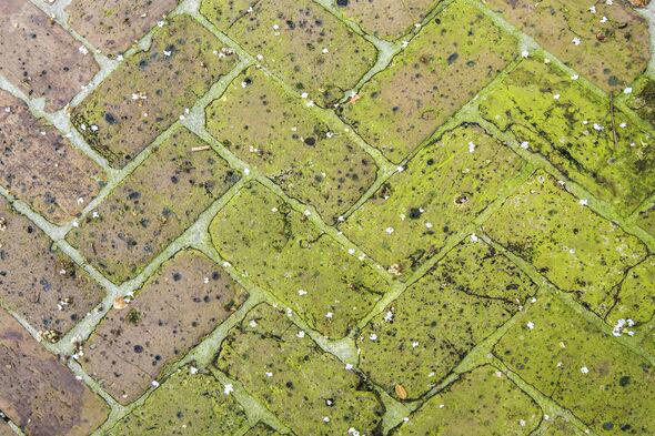 Green algae will brush clean from patios in 5 minutes with 2 ingredients