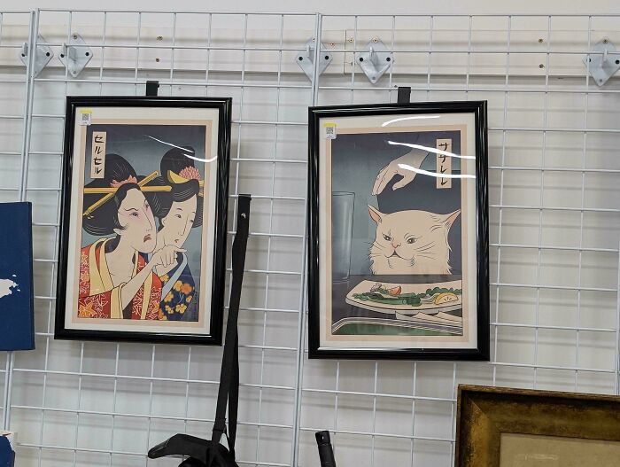 Goodwill discoveries: 49 unexpected donations found in stores