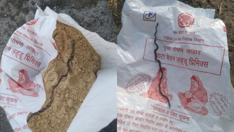 Dead snake found in food packet given to pregnant woman at Madhya ...