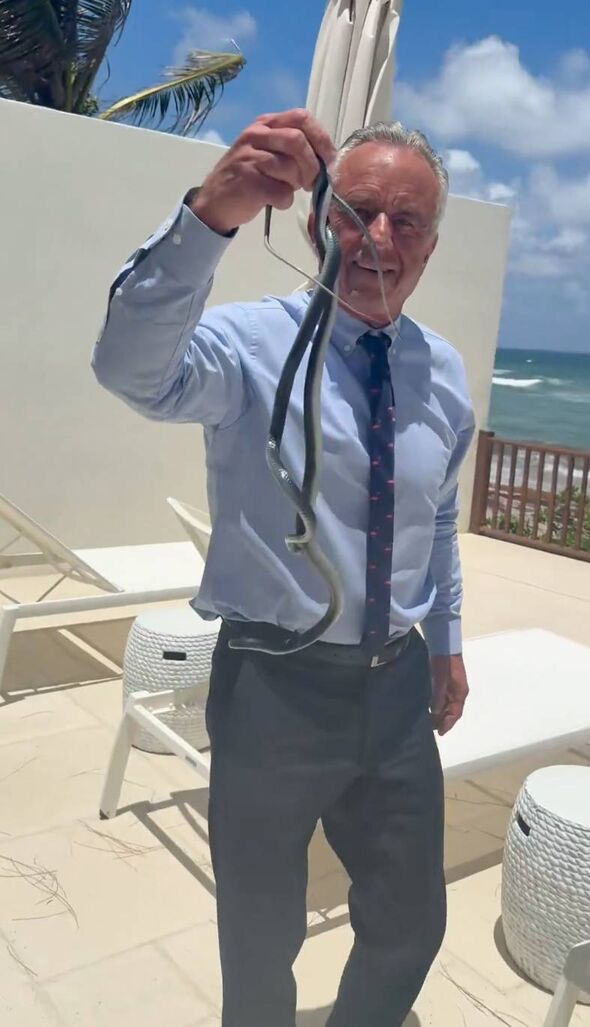 RFK Jr's snake wrestling and Kid Rock video spark credibility concerns ...