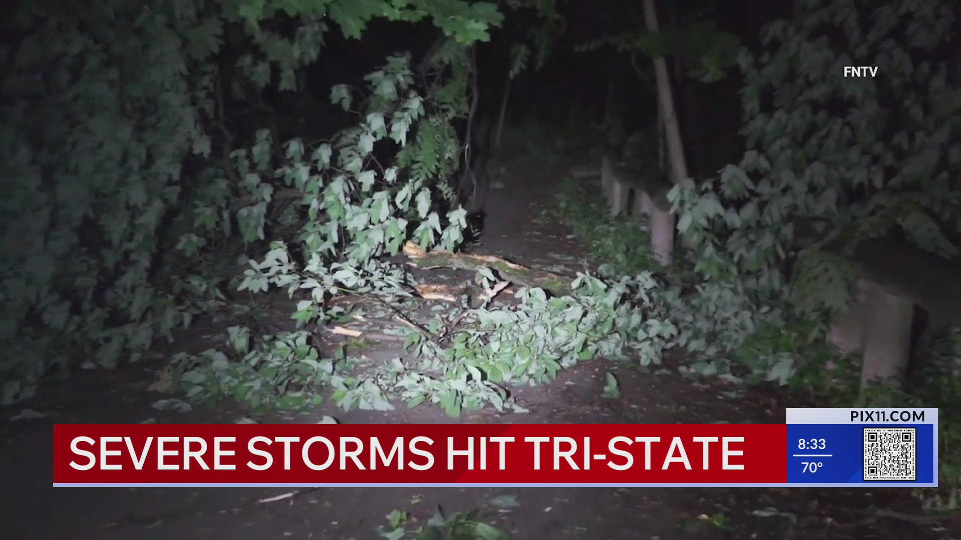 85-year-old killed by falling tree in NYC storm, police say