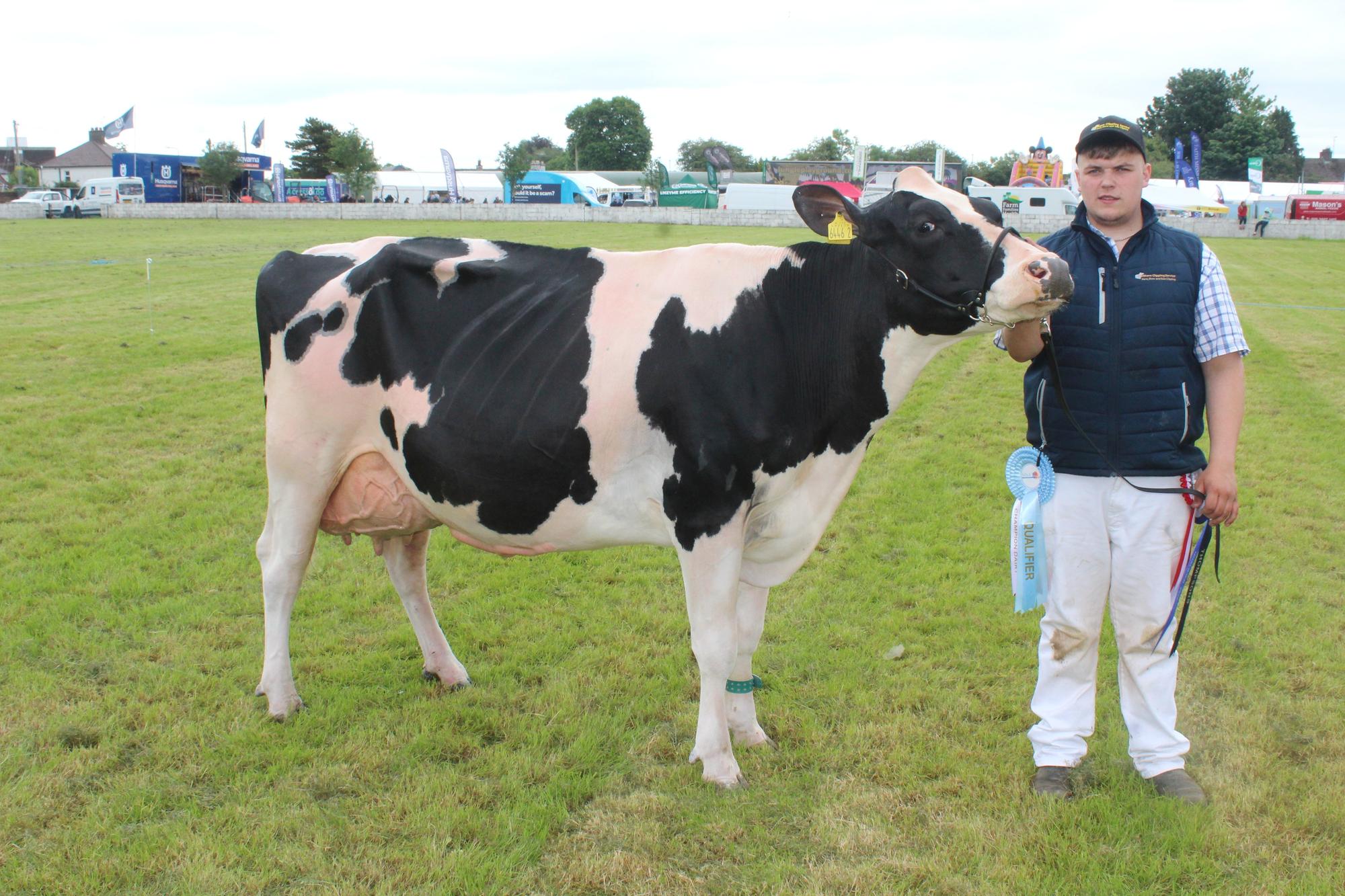 Elite Holstein third calver wins 'Champion of Champions' accolade at ...