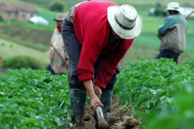 Con inversión de $8.541 millones, Gobierno reactiva fondo de apoyo ...