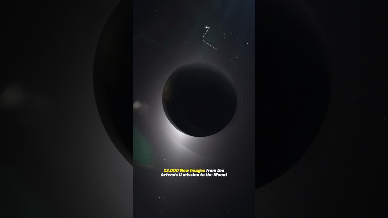 The best images from Artemis II