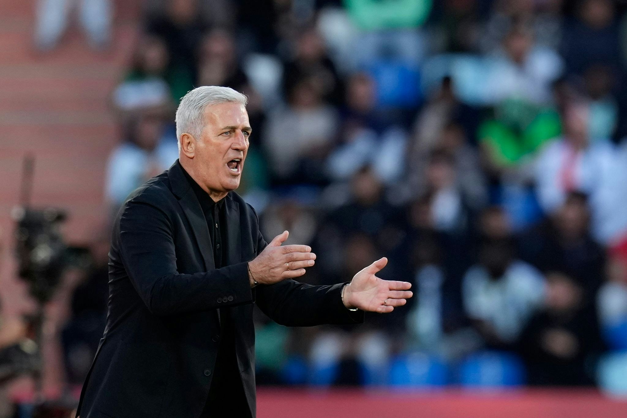 Erfolg mit Algerien: Vladimir Petkovic verlängert seinen Vertrag als ...