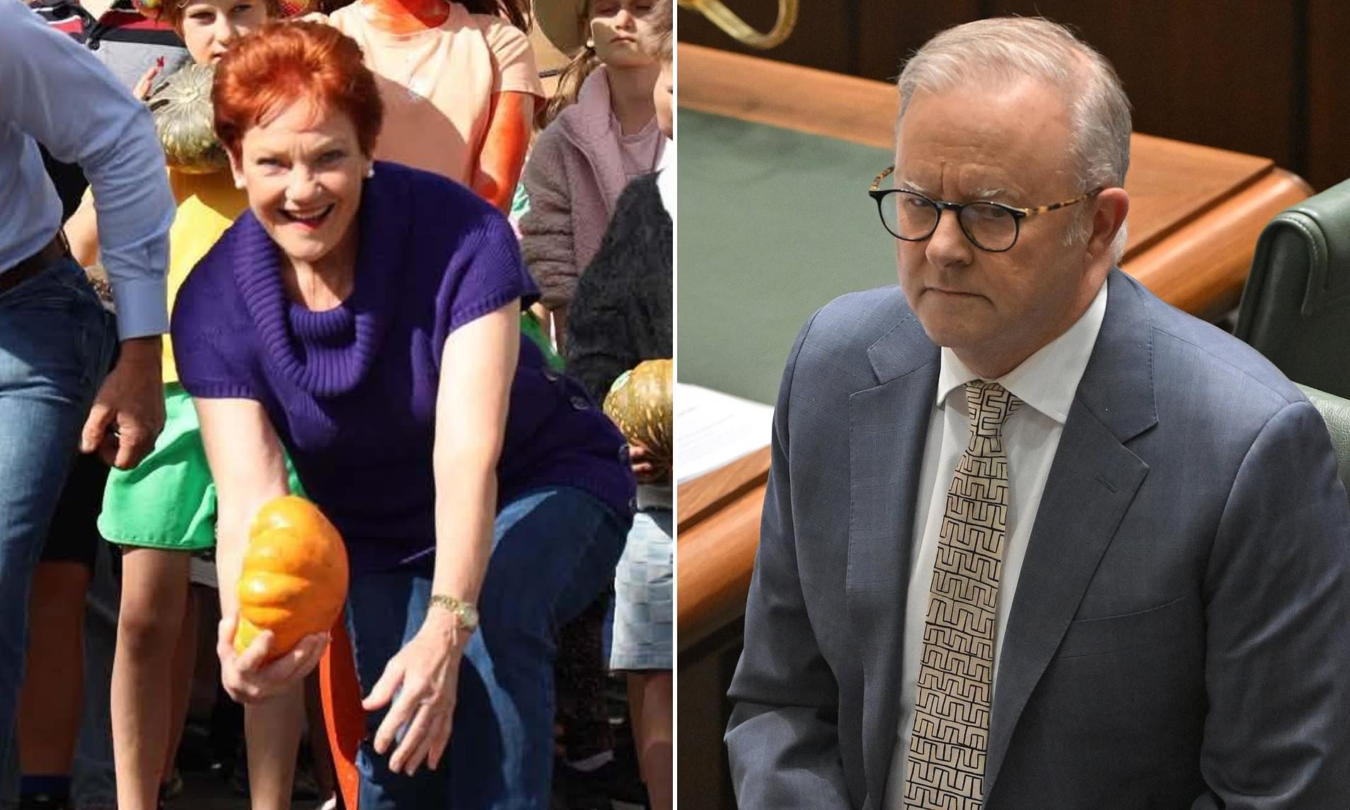 Historic Newspoll shows One Nation has surged ahead of Labor as ...