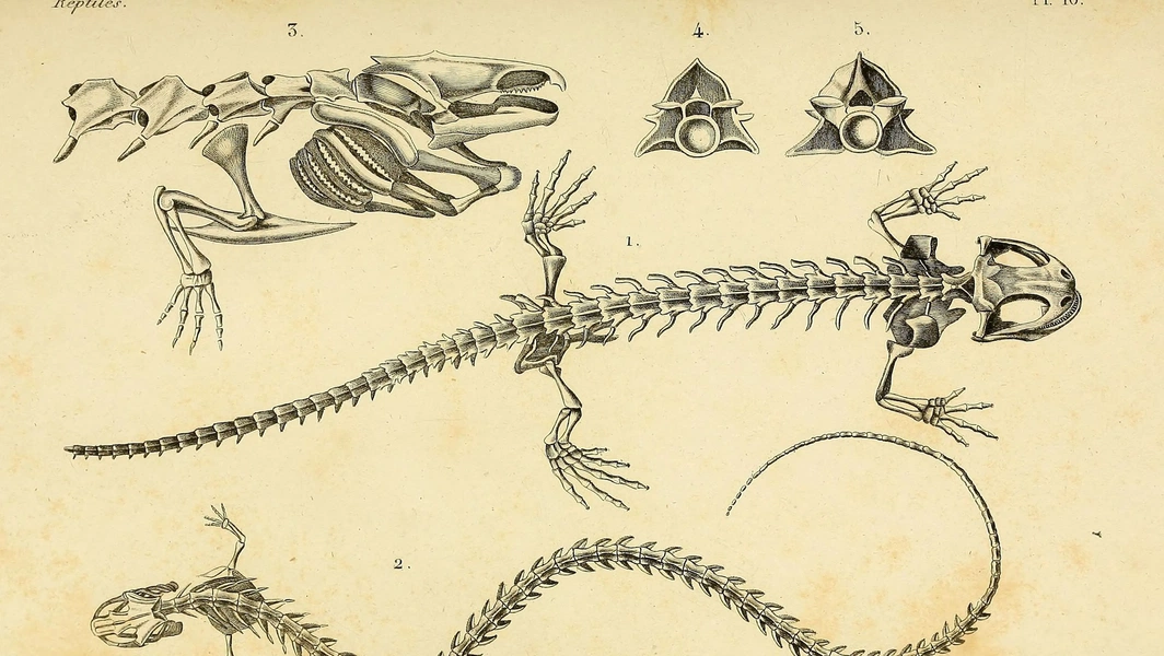NYT Strands #826 challenges players with reptile theme