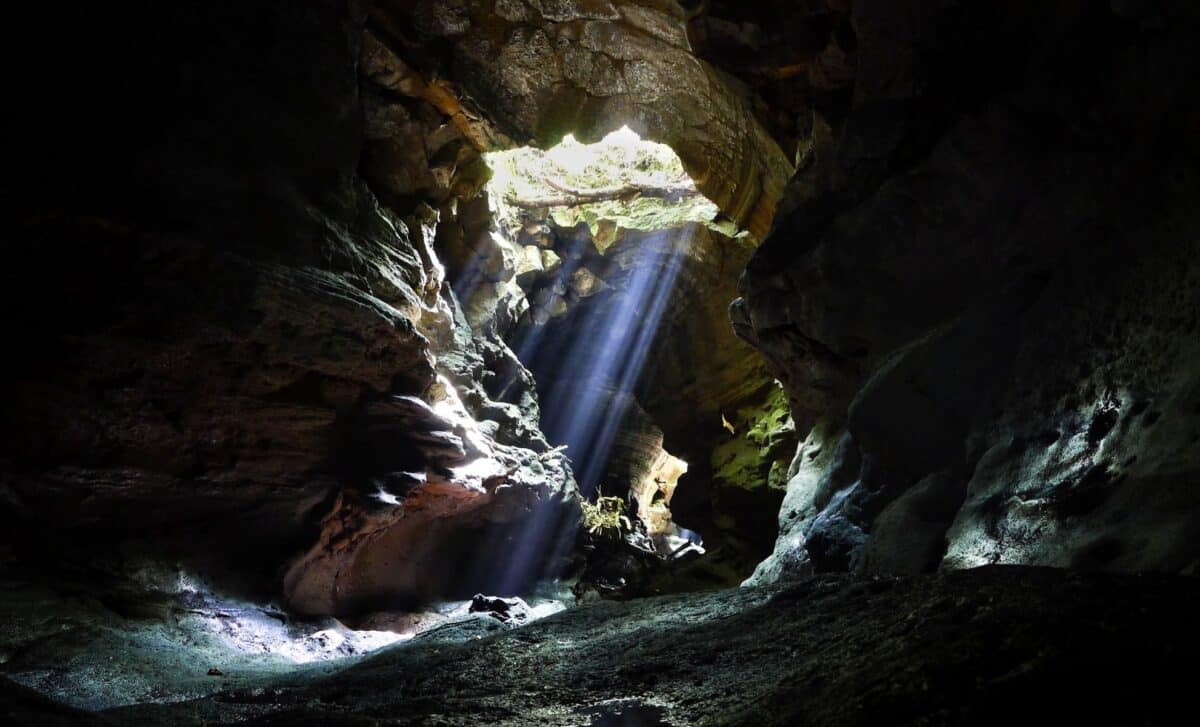 Scientists Discovered a Bizarre Insect Deep Inside a Greek Cave, and It ...