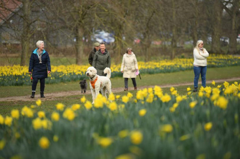 The beautiful country park with a maze, children’s play area and café