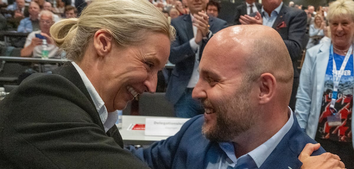 „Säuberungsaktionen“ und „Goebbels-Methoden“ – AfD-Insider rechnen mit ...