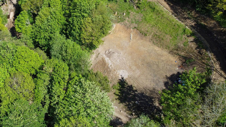 Holiday homes illegally built on £1M ancient woodland ordered to be ...