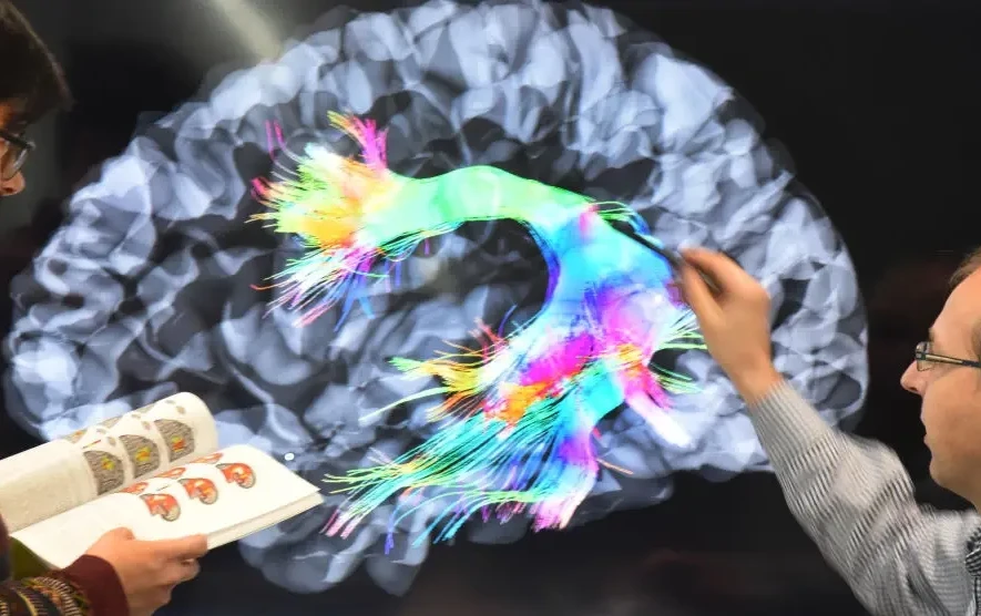 Why learning languages changes your brain and life