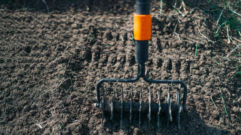 Not shovels, not hoes: The easy way to remove weeds without hand-pulling