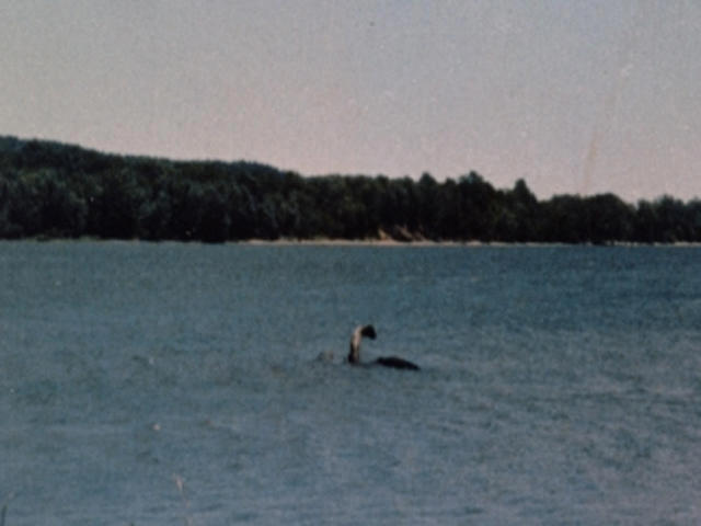 Filmmakers claim they’ve caught America’s Loch Ness Monster on video ...
