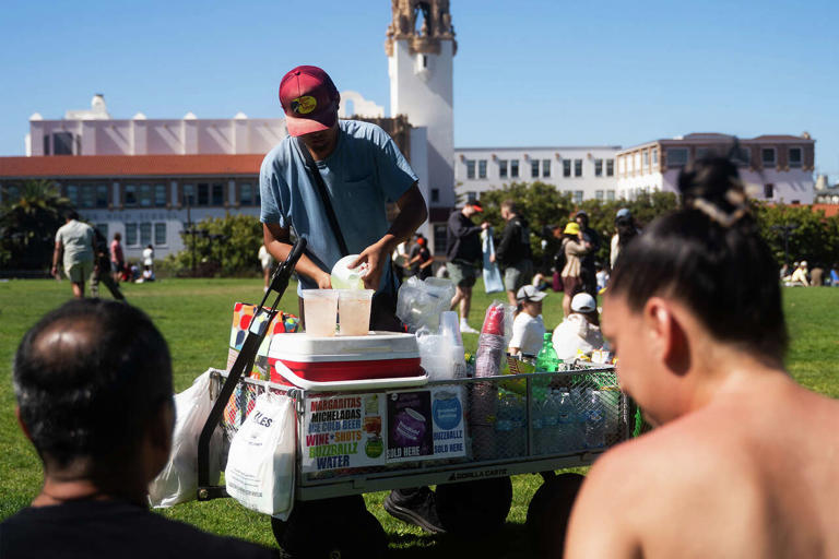 Inside the informal economy of San Francisco's Dolores Park