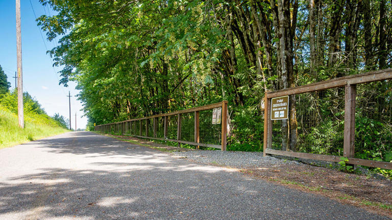 New loop trail gives Pierce County hikers first access to 50 acres of ...