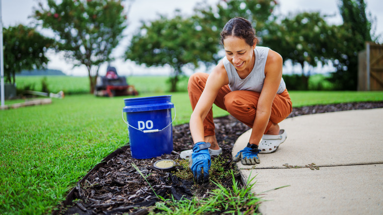 Not shovels, not hoes: The easy way to remove weeds without hand-pulling