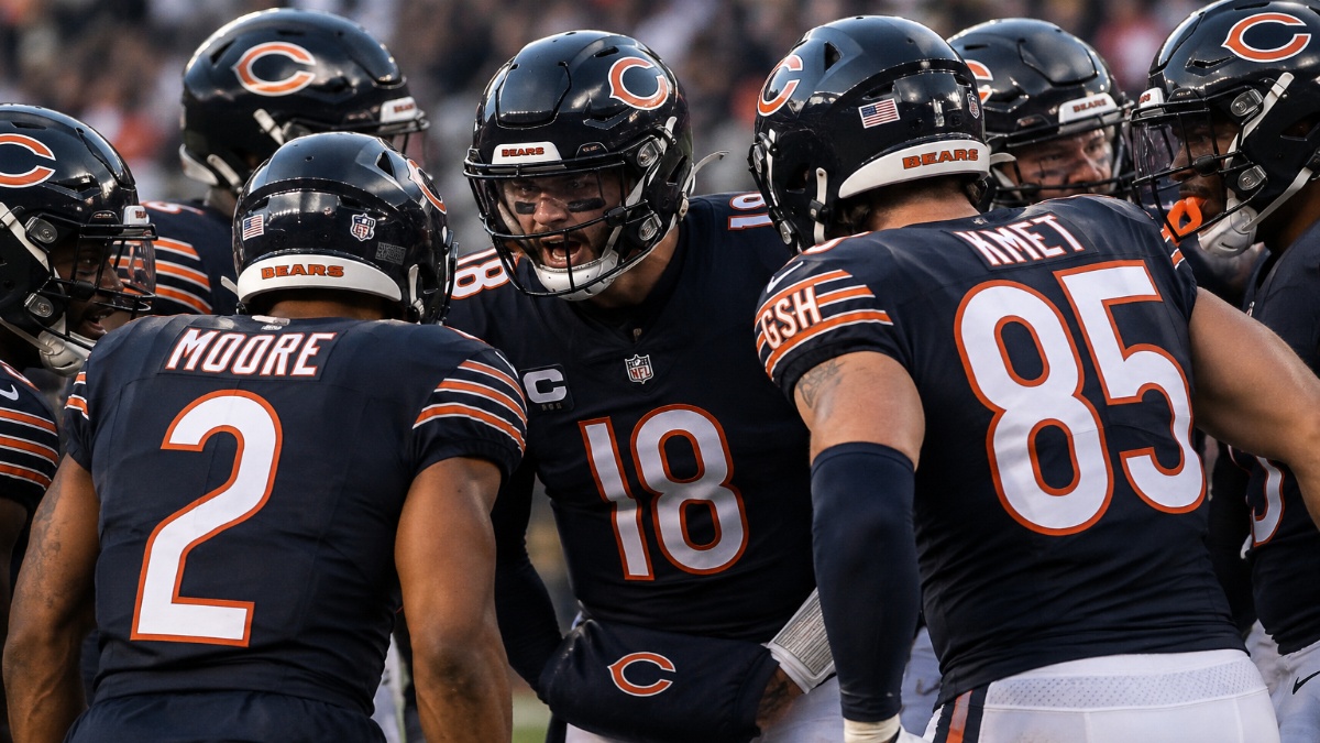 NFL earthquake: Are the Chicago Bears really leaving Illinois for a new ...