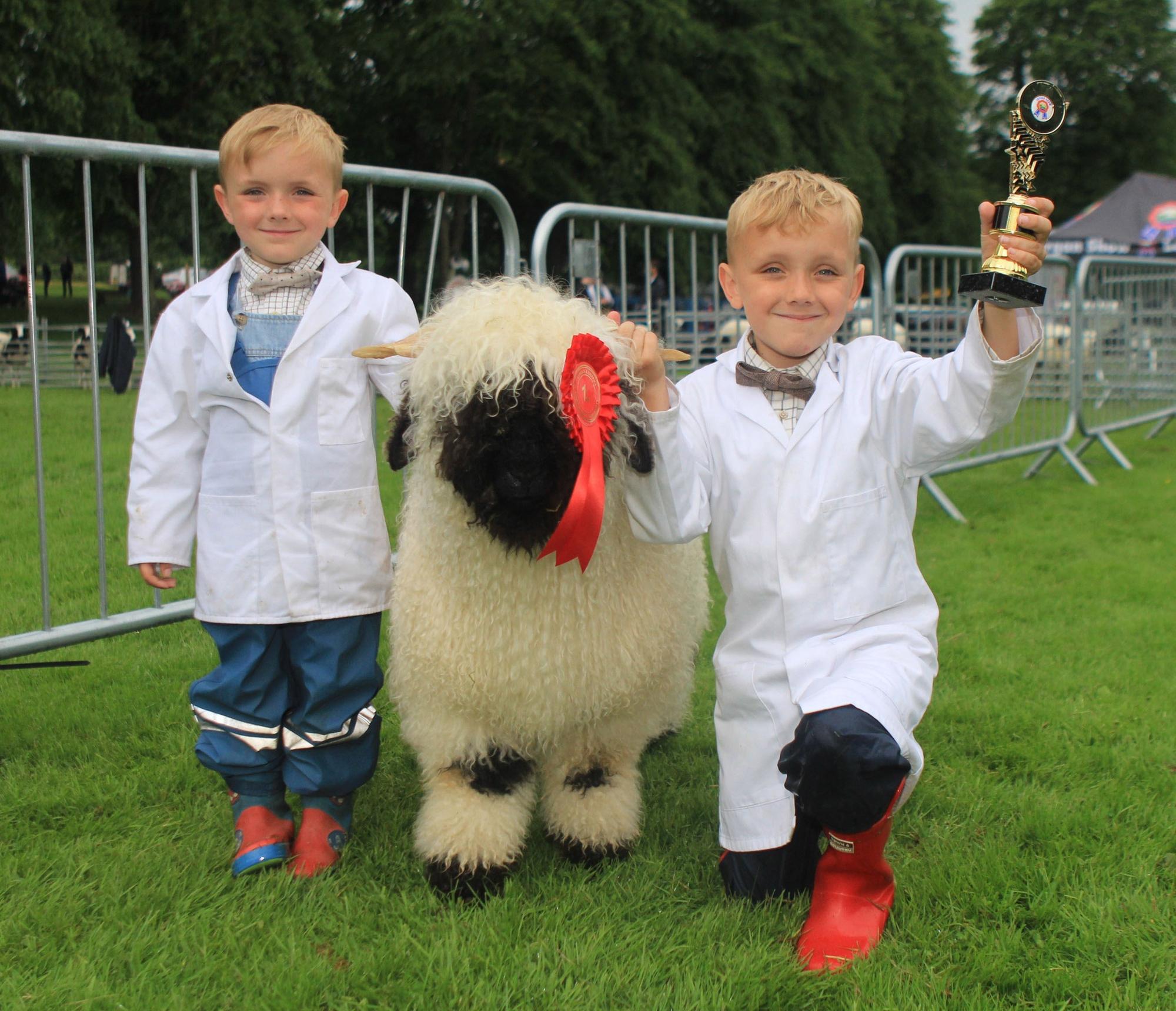 Lurgan Show 2026 – a tremendous showcase for livestock excellence and ...