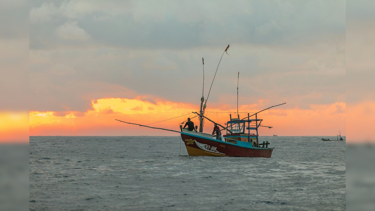 India eyes better market access through simpler SPS rules under ...