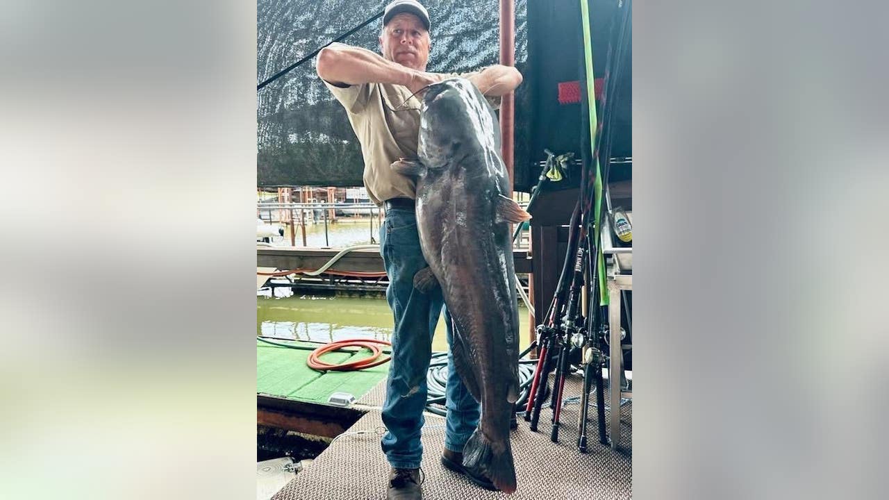 Angler reels in massive 75-pound catfish at Lake Texoma over Memorial ...
