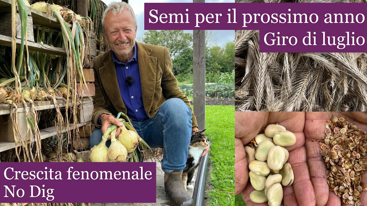 Tour dell'orto a luglio dopo un mese fresco, grigio e piovoso | Charles ...