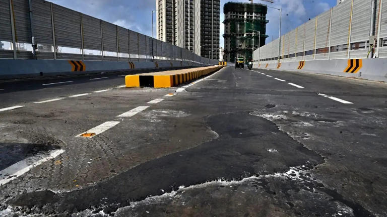 Mumbai’s Rs 248 crore Mrinal Tai Gore flyover faces backlash hours ...