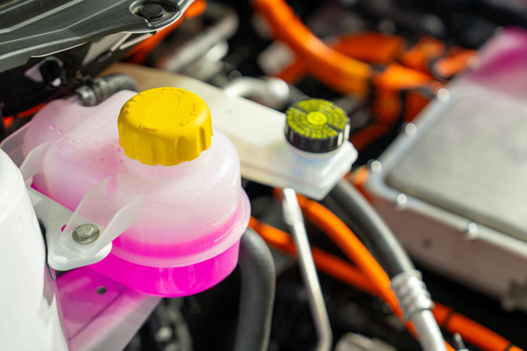 Mechanics say this quick check can prevent your car from overheating ...