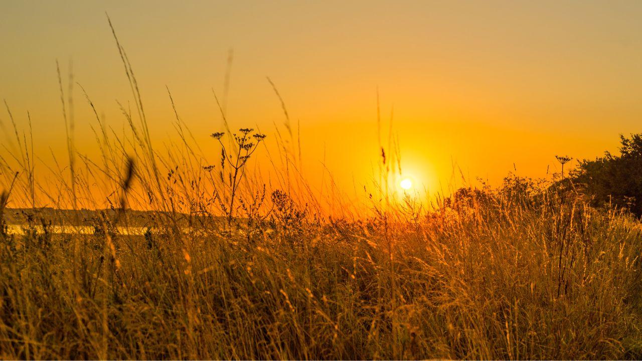 Meteo in Toscana, il clima dei prossimi giorni sarà qualcosa di raro ...