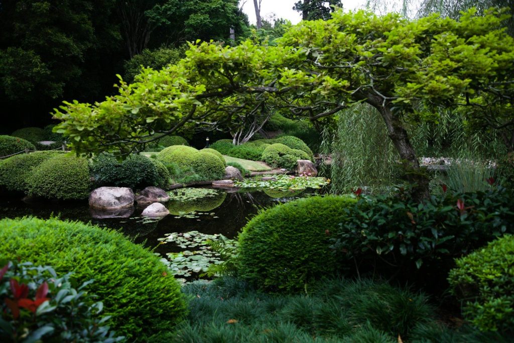 9 simple Japanese garden tricks that make any space feel serene