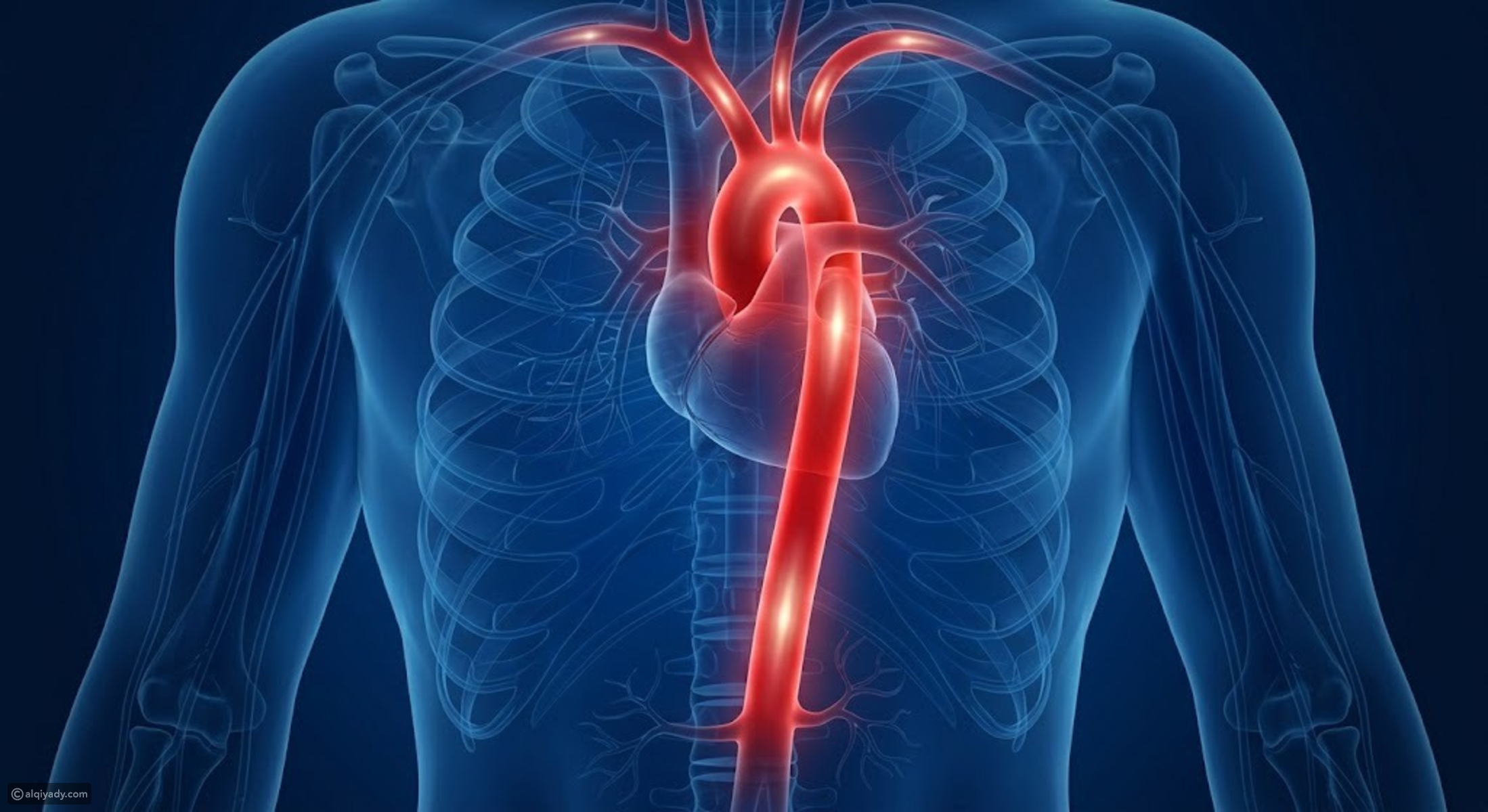 This simple thumb test may point to a serious heart risk