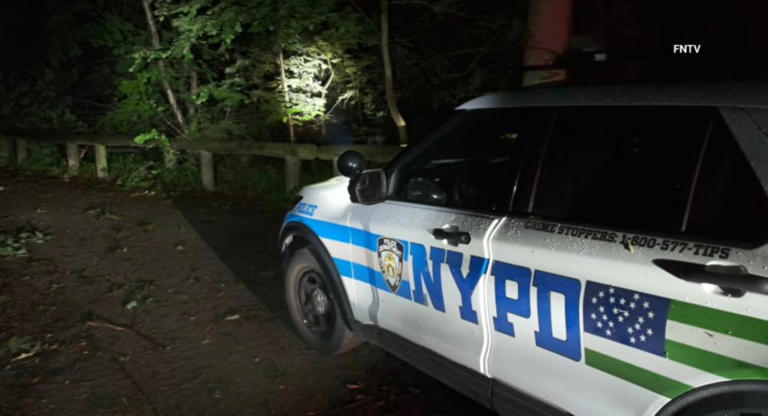 85-year-old man killed by falling tree in freak accident at NYC park: cops