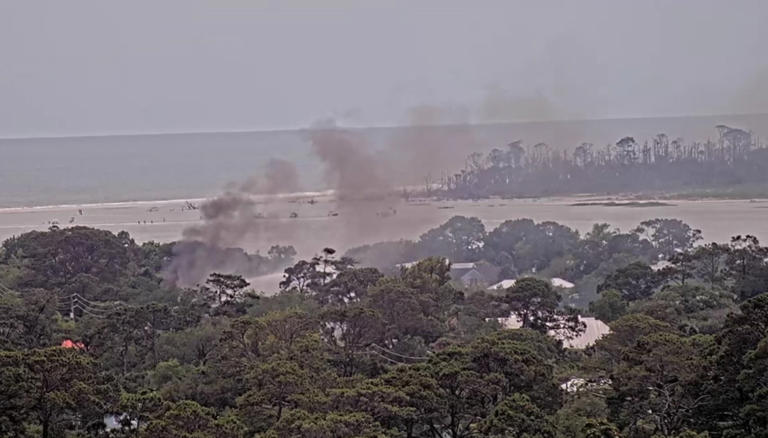 Tybee Island city engineer’s home, family pet lost in house fire
