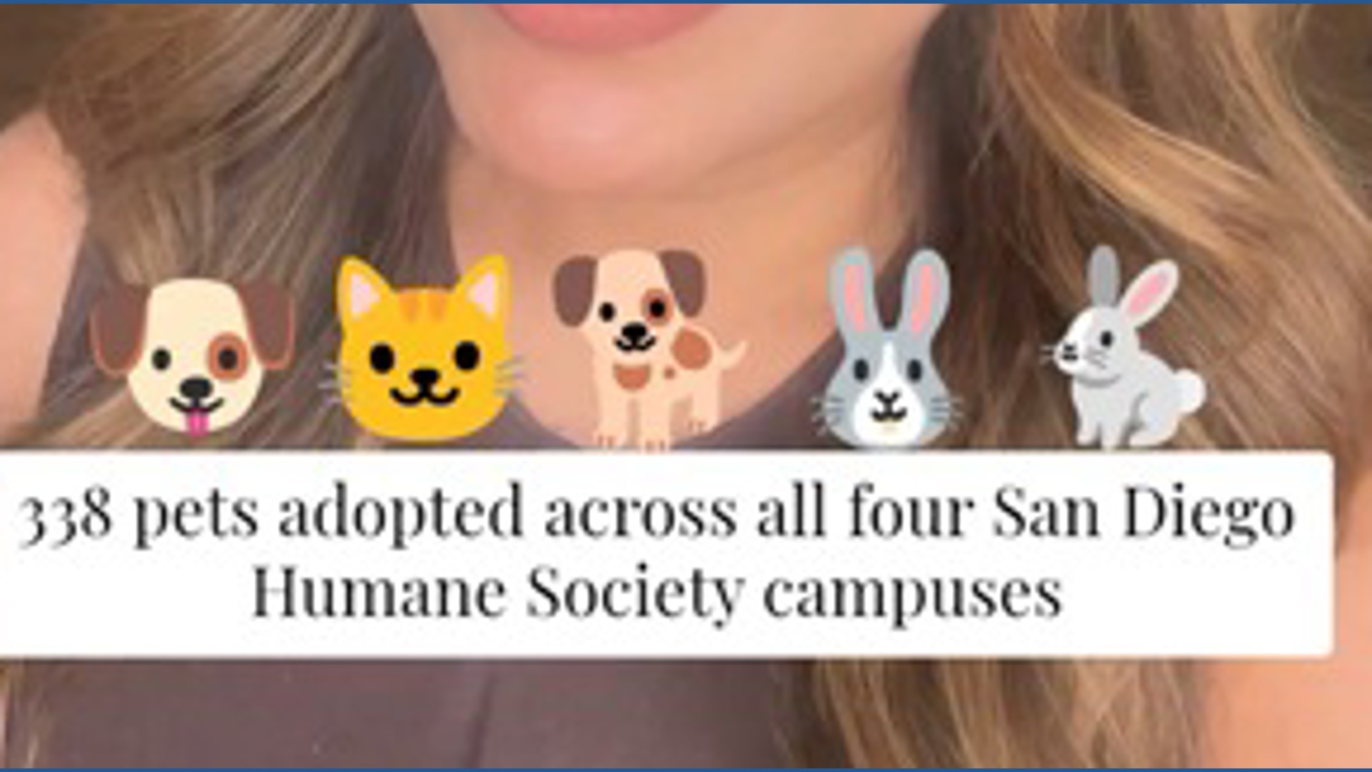 338 pets adopted across all four San Diego Humane Society campuses