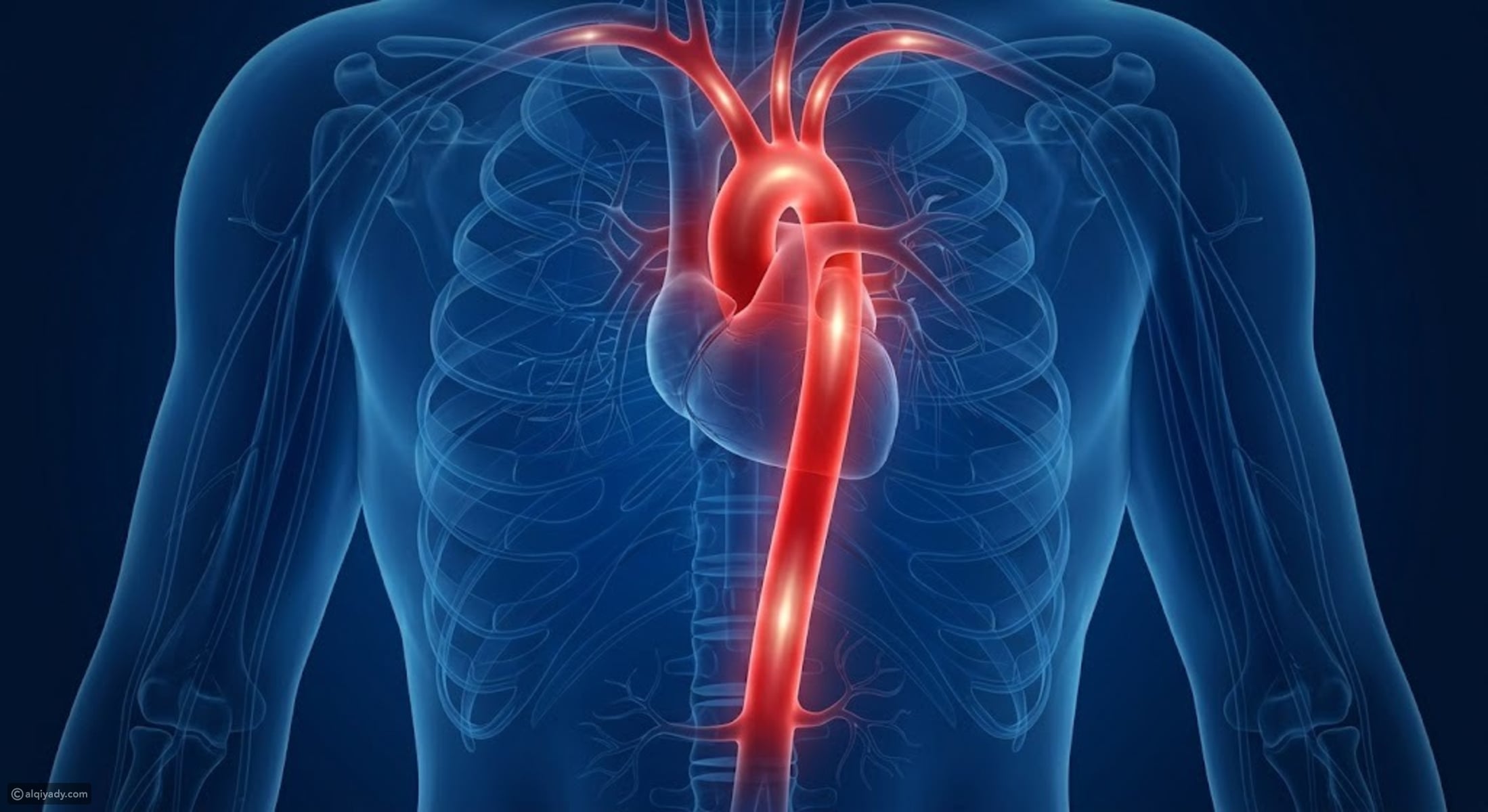 This simple thumb test may point to a serious heart risk