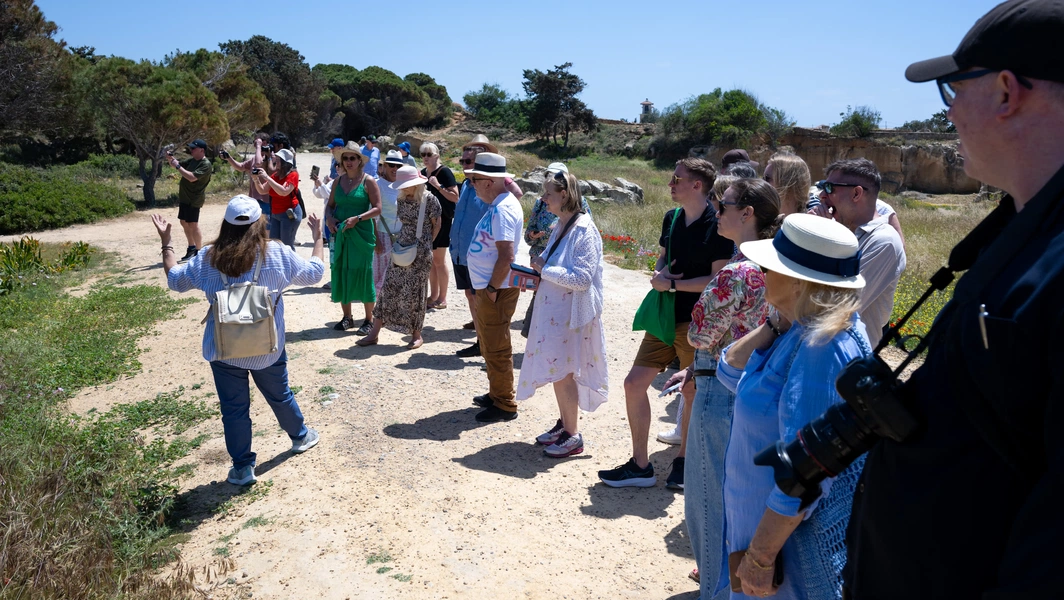 Why guided tours might be your travel sweet spot