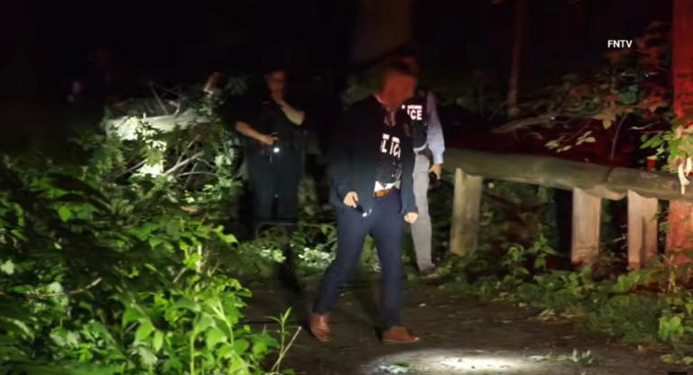 85-year-old man killed by falling tree in freak accident at NYC park: cops