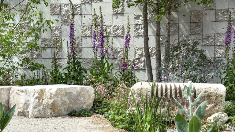 Biennial flowers to sow in June to invigorate next year’s displays and ...