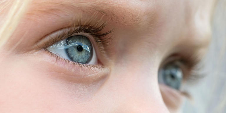 Eye-tracking study reveals visual preferences in toddlers with autism